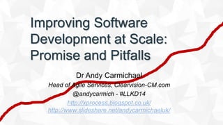 Improving software development at scale - promise and pitfalls #llkd14 ...