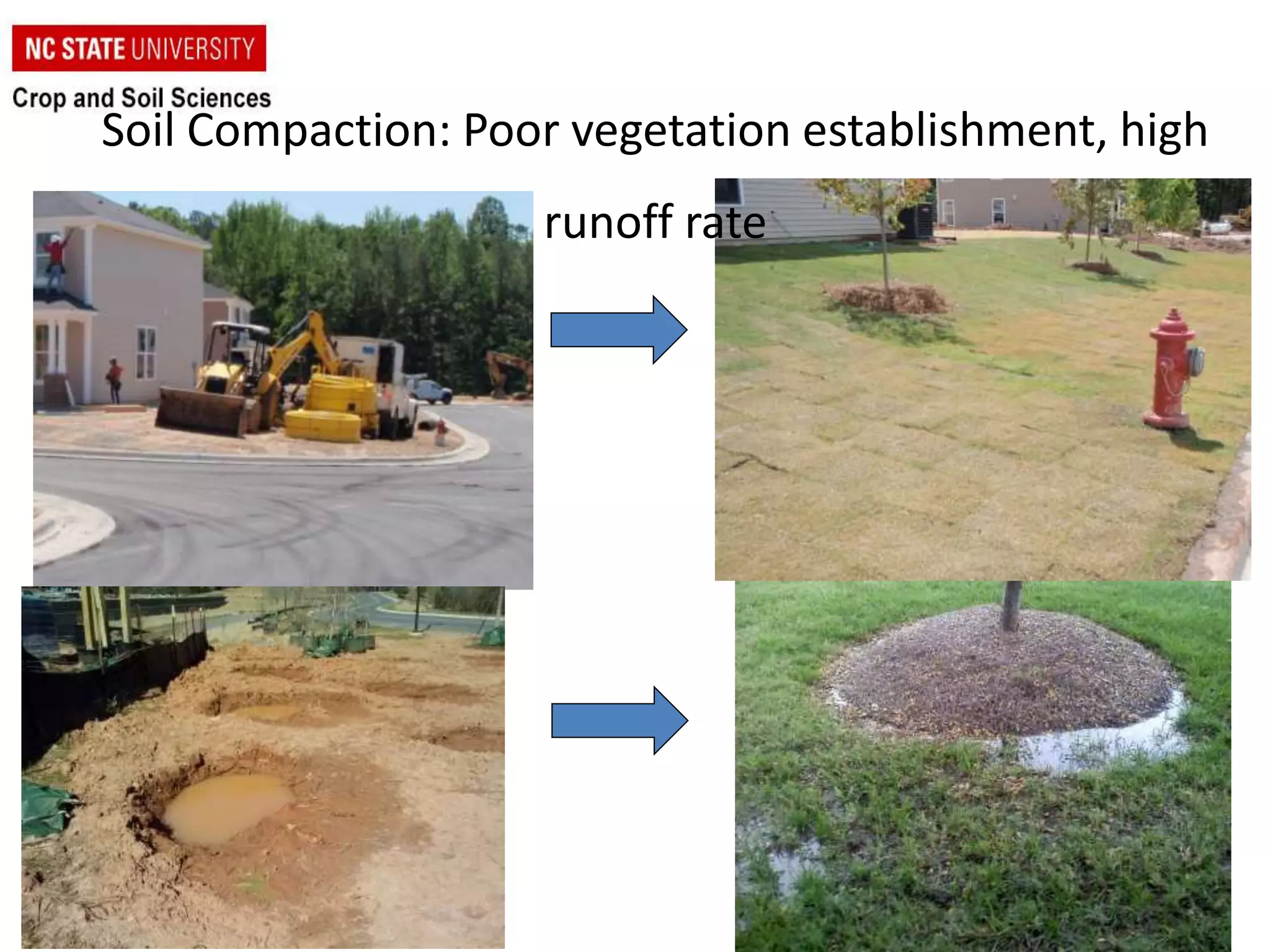 Improving storm water quality by stabilizing construction site soils | PPT