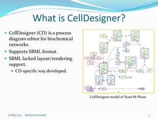 Improving the Plugin Interface for CellDesigner v2.2 | PPT