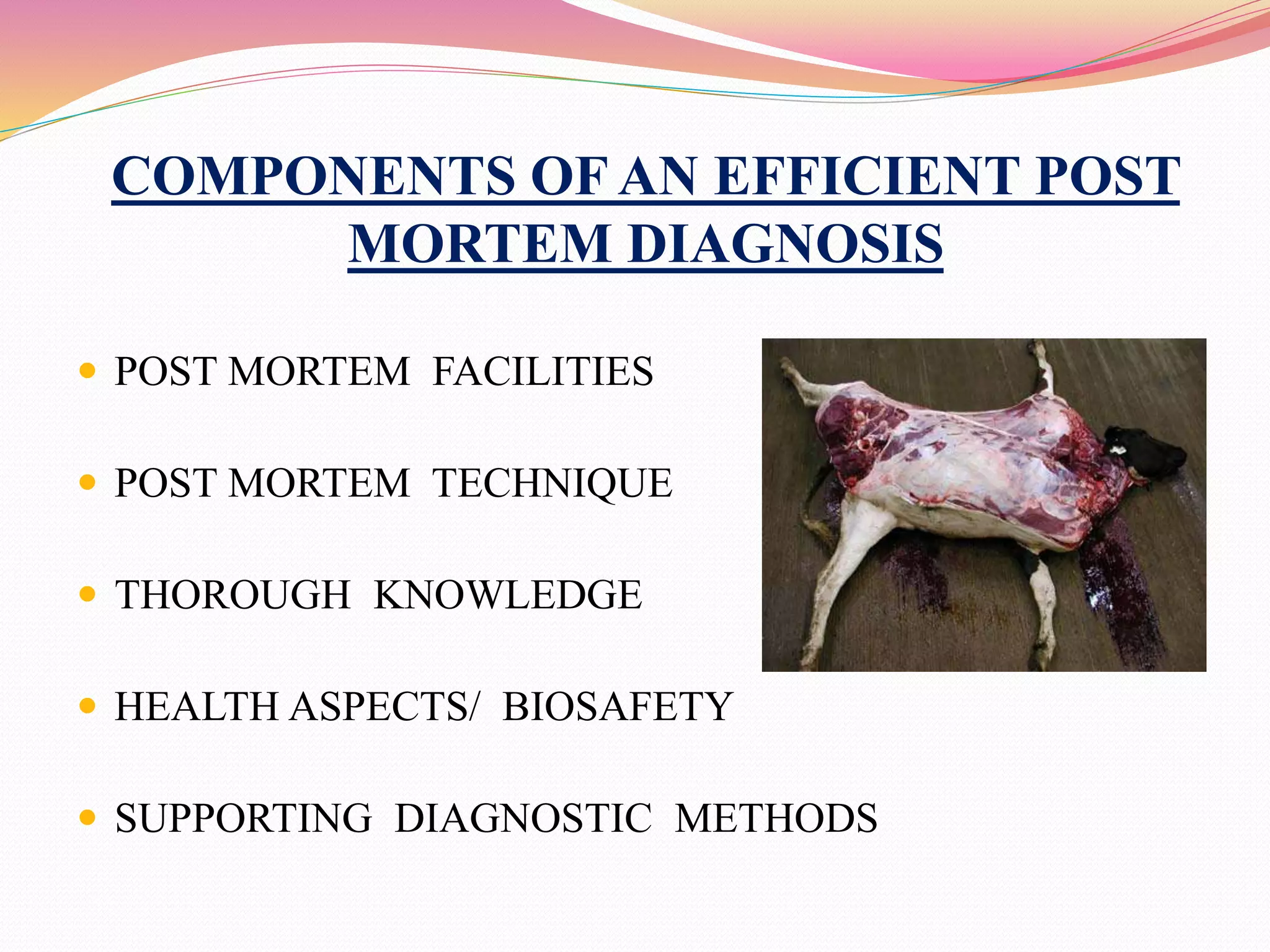 ENHANCING THE EFFICIENCY OF POST MORTEM DIAGNOSIS BY IMPROVING THE POST ...
