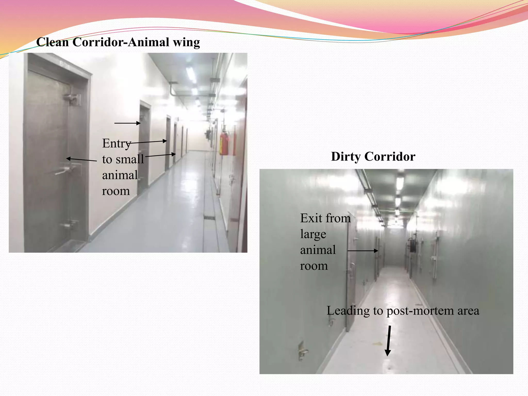 ENHANCING THE EFFICIENCY OF POST MORTEM DIAGNOSIS BY IMPROVING THE POST ...