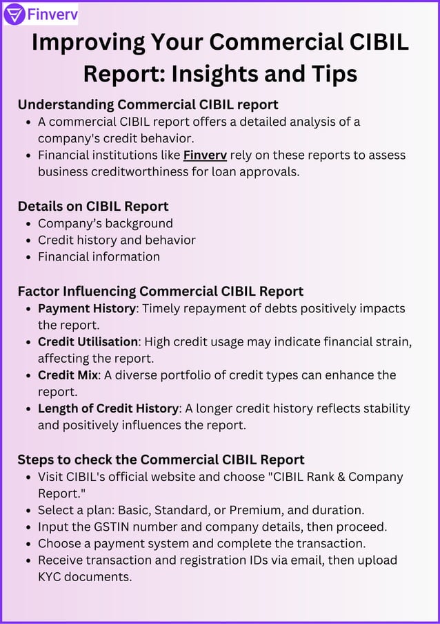 Improving Your Commercial CIBIL Report Insights and Tips. | PDF