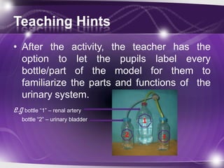 Improvised urinary system | PPTX