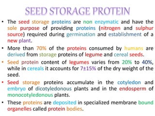 Imprpoving seed storage proteins & golden rice | PPTX