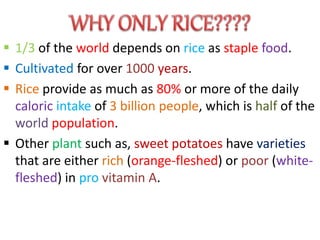 Imprpoving seed storage proteins & golden rice | PPTX