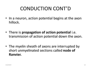 Impulse conduction of Nervous tissue hhh | PPTX | Brain and Nervous ...