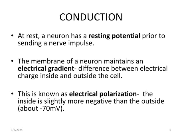 Impulse conduction of Nervous tissue hhh | PPTX | Brain and Nervous ...