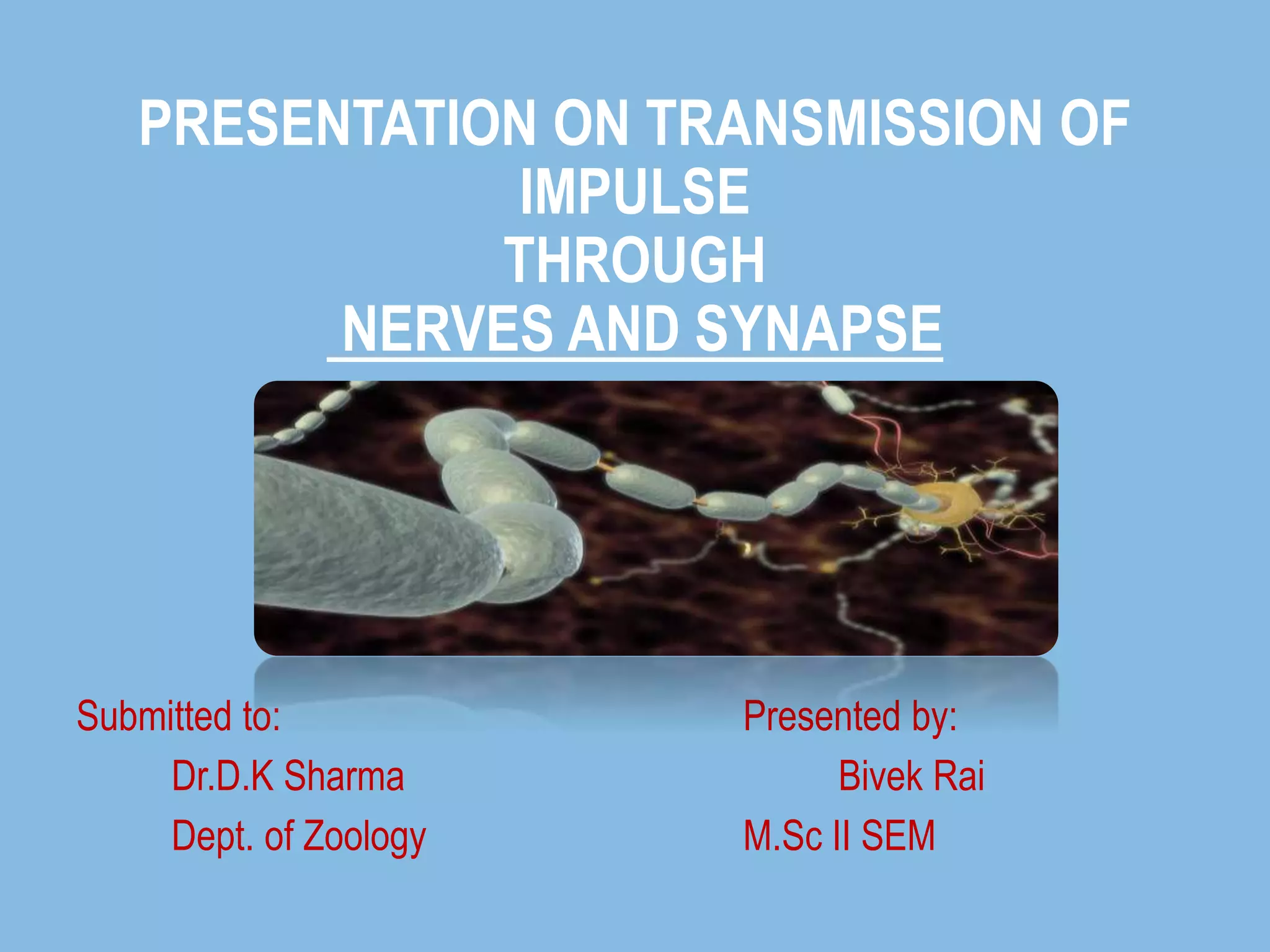 Impulse transmission | PPT