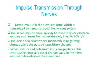 Impulse transmission | PPTX