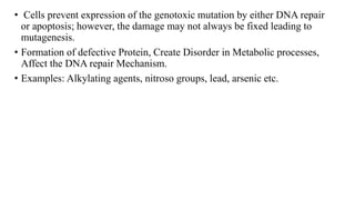 IMPURITIES IN API’s INCLUDING GENOTOXIC IMPURITIES.pptx | Chemistry ...