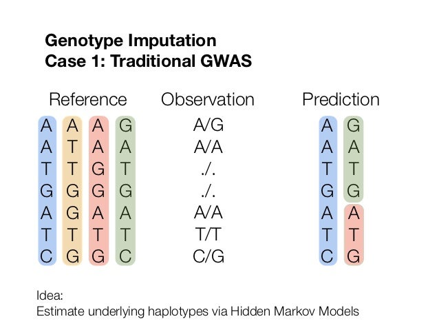 Genotype Imputation Via Matrix Completion