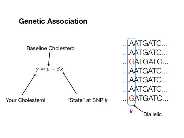 Genotype Imputation Via Matrix Completion