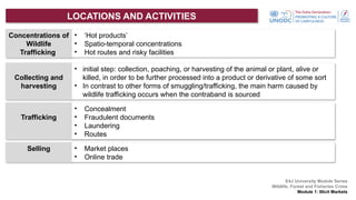 Imp_Wildlife_-_Slides_-_Module_1_-_FINAL.pptx