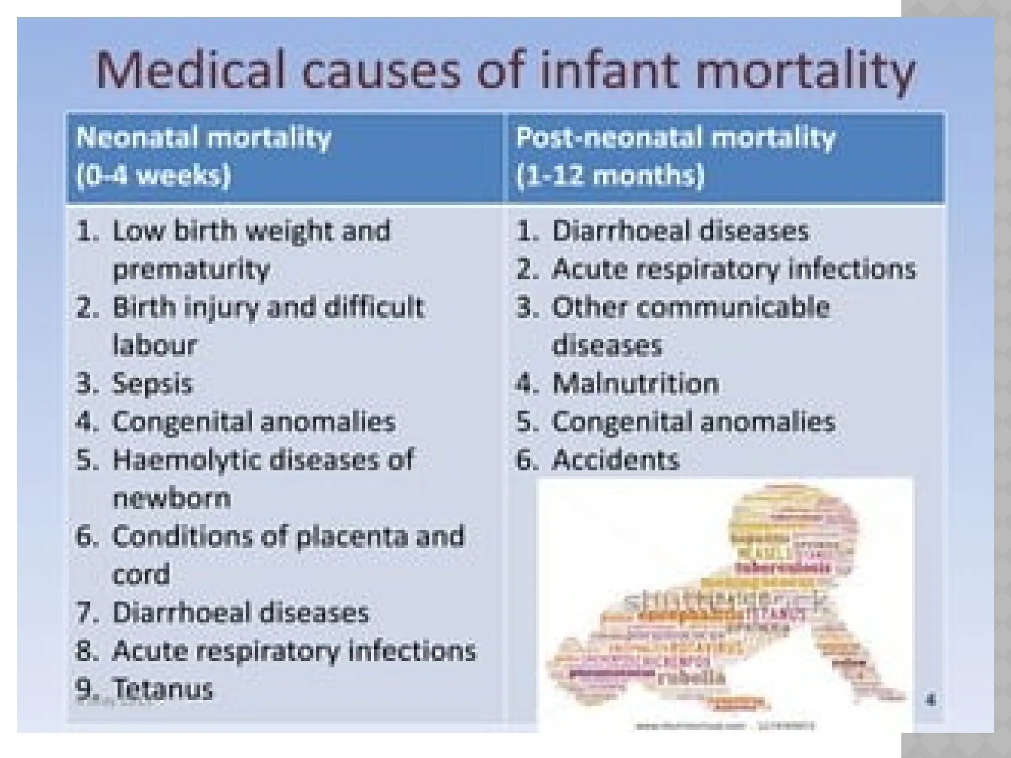Infant Mortality Rate (IMR) 2024 - Vital Statistics.pptx