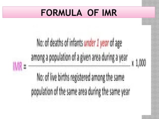 Infant Mortality Rate (IMR) 2024 - Vital Statistics.pptx