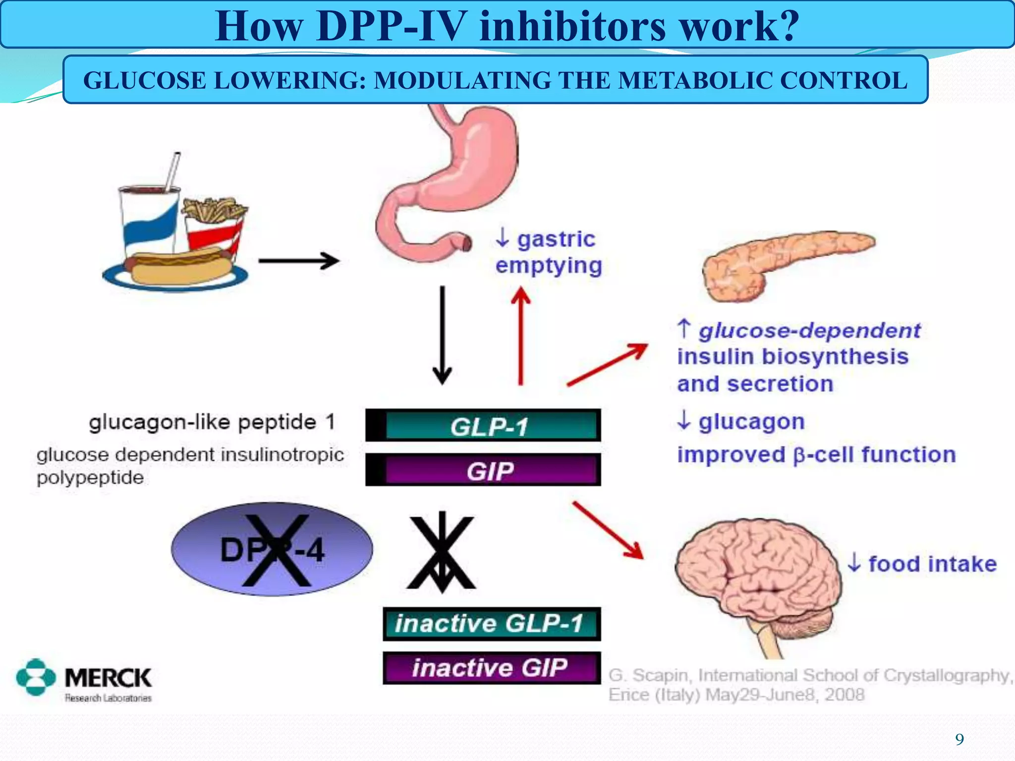 Design and Synthesis of some Pyrimidine as DPP-IV Inhibitors | PPT