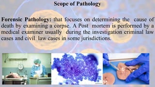 definition and scope of pathology | PPTX