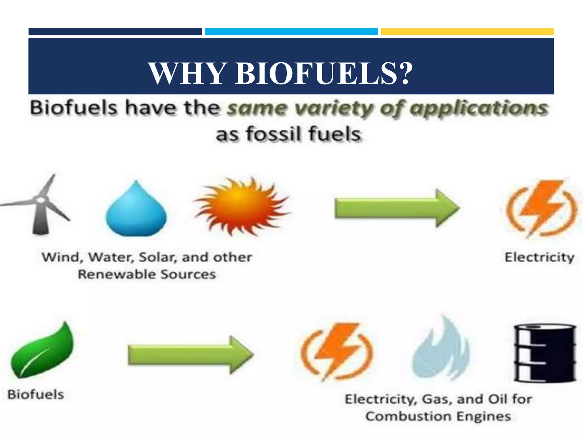 Biofuels and microbial application for biofertilizer production | PPT