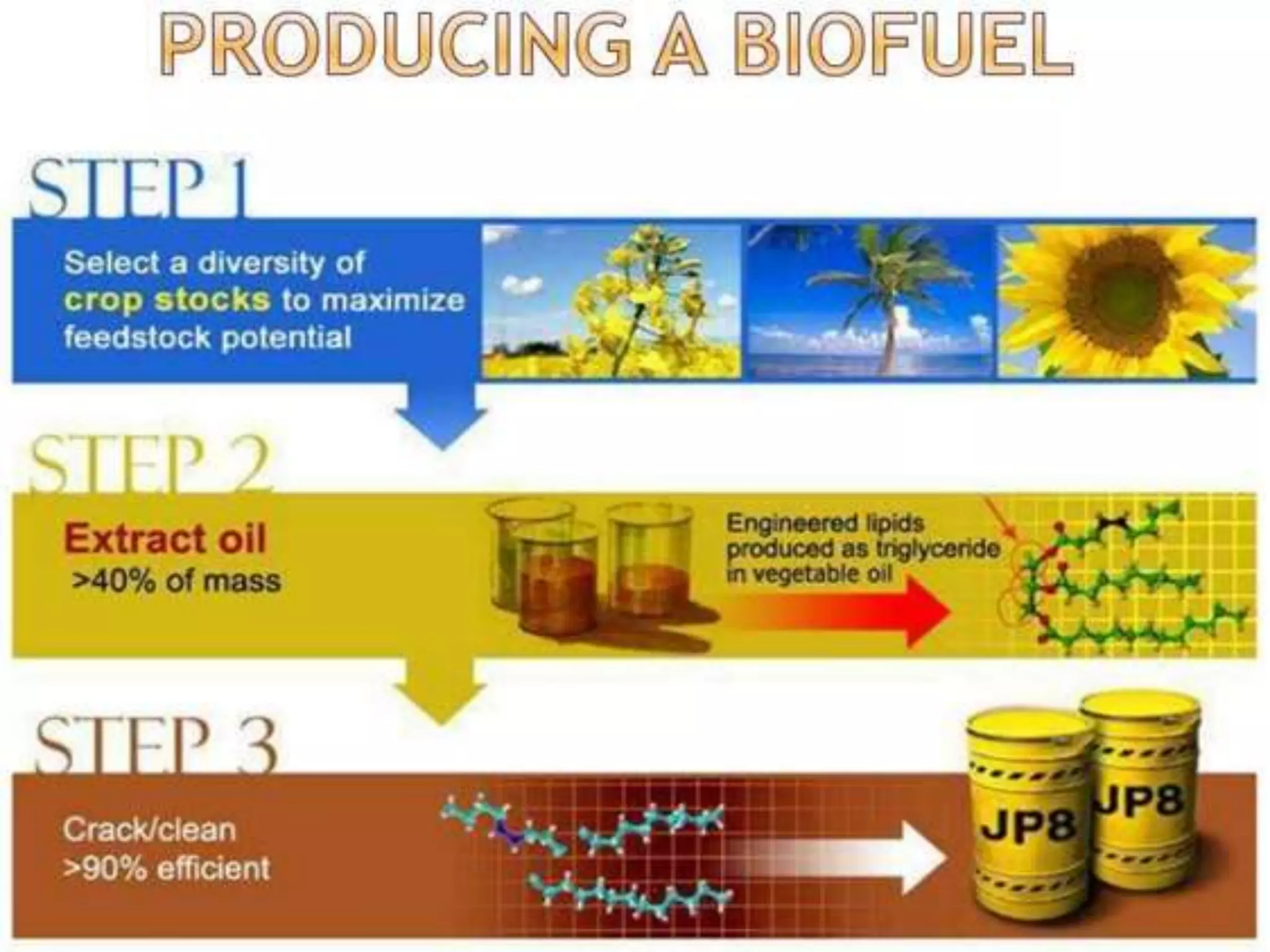 Biofuels and microbial application for biofertilizer production | PPT
