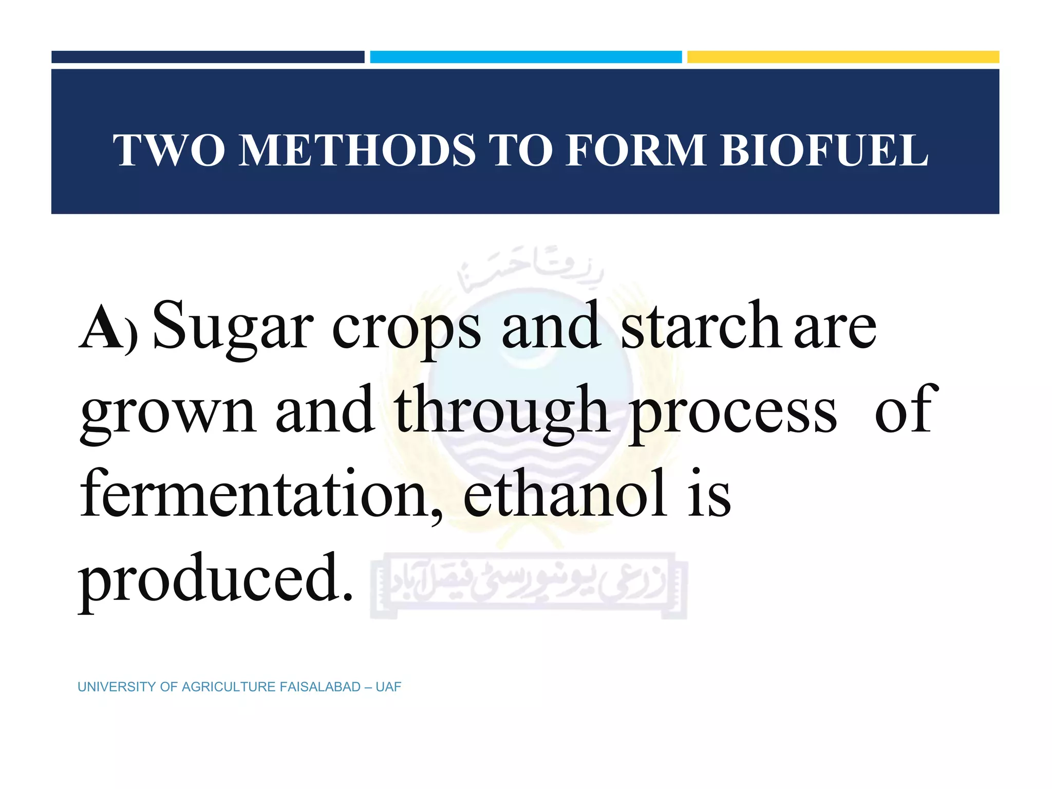 Biofuels and microbial application for biofertilizer production | PPT