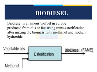 Biofuels and microbial application for biofertilizer production | PPT
