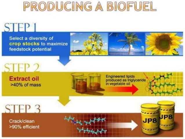 Biofuels and microbial application for biofertilizer production | PPT