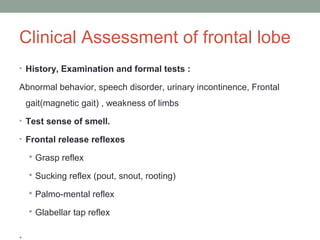 frontal lobe anatomy and clinical relevance | PPT