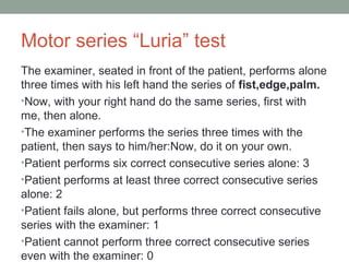 frontal lobe anatomy and clinical relevance | PPT