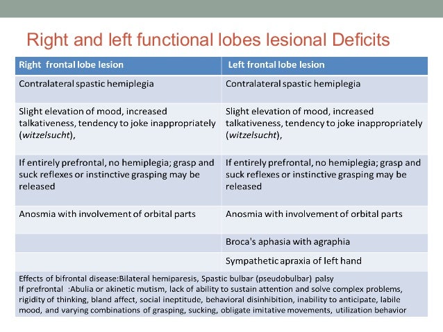 frontal lobe anatomy and clinical relevance