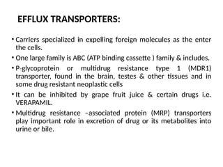 Imran PPT for Drug Transport Mechanism.pptx
