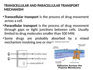 Imran PPT for Drug Transport Mechanism.pptx