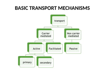 Imran PPT for Drug Transport Mechanism.pptx