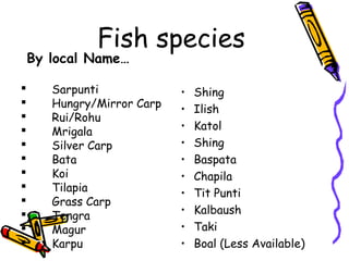 Local Fish Biodiversity Status At Nearest Market Here In My Locality. | PPT