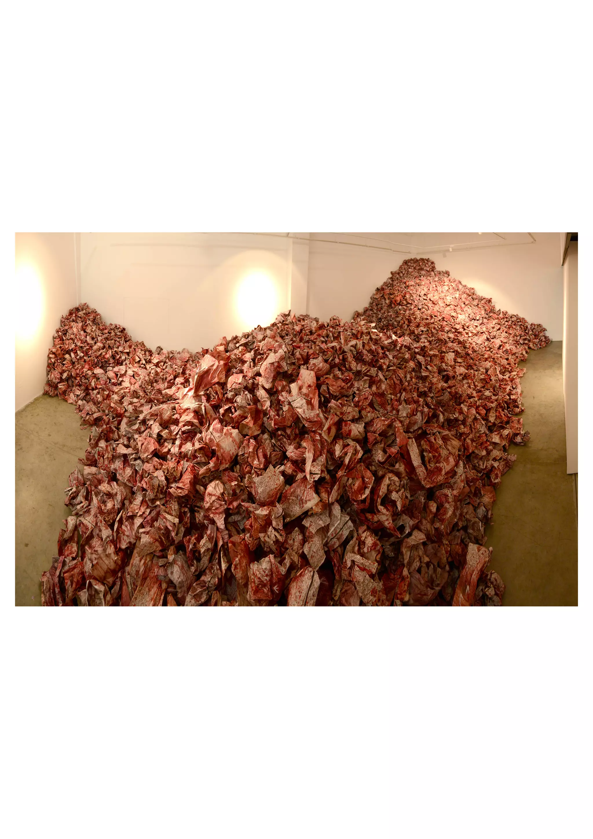 Imran Qureshi Portfolio | PDF