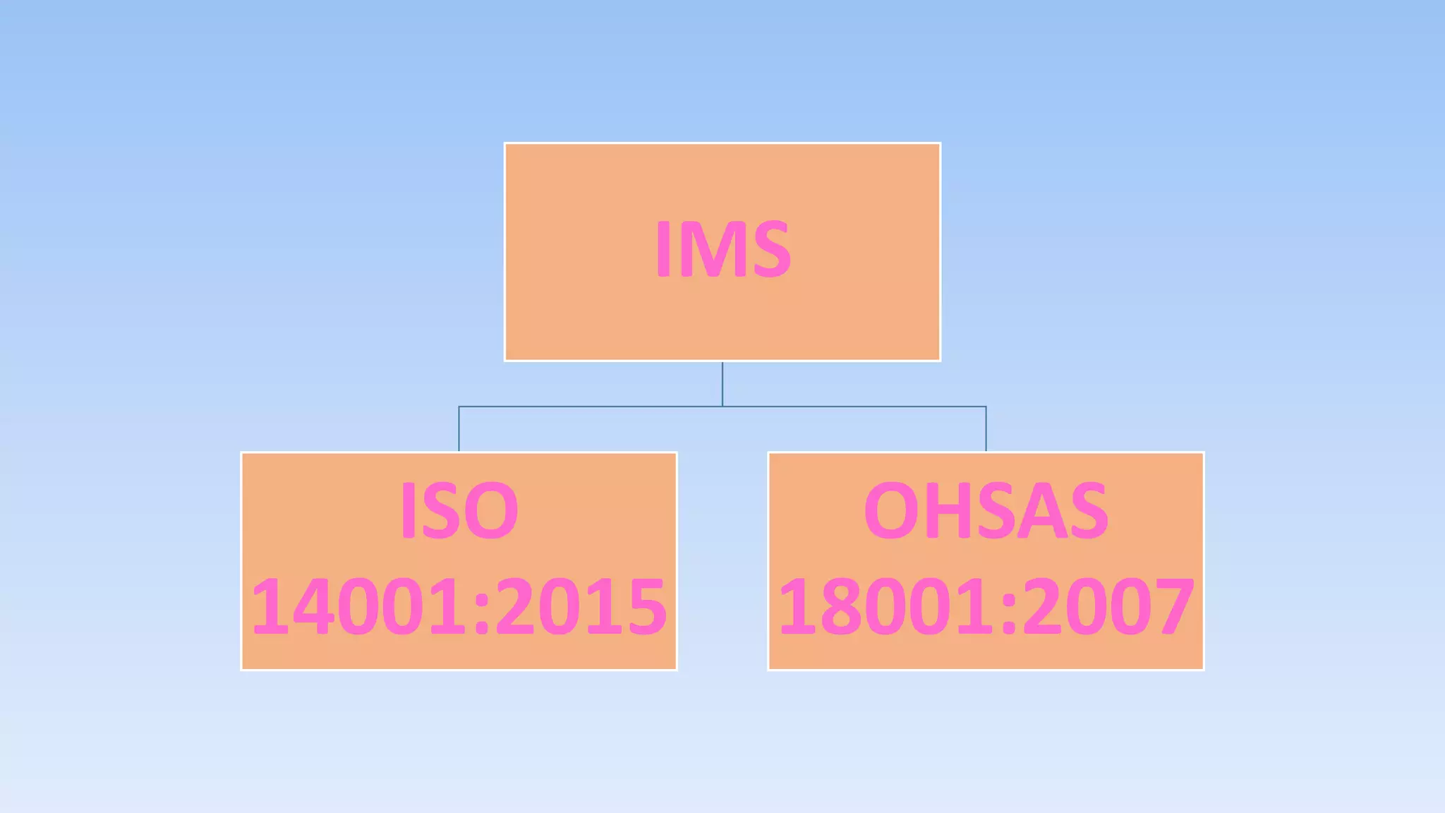 Integrated Management System, Training, IMS, Safety | PPTX