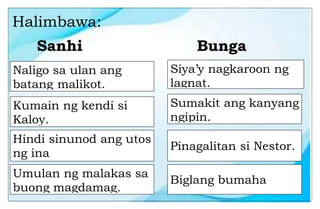Lesson Plan sa Filipino BSED (Sanhi at Bunga) | DOCX