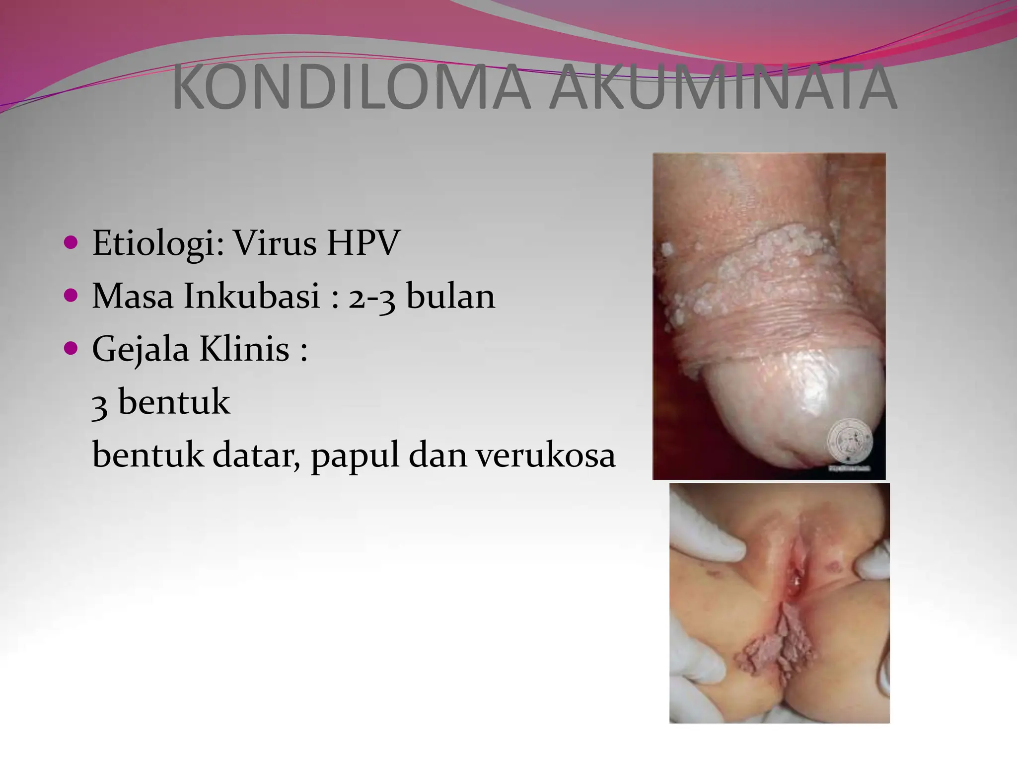 IMS.ppt PPT PPT PPT PPT PPT PPT PPT PPT PPT | PPT