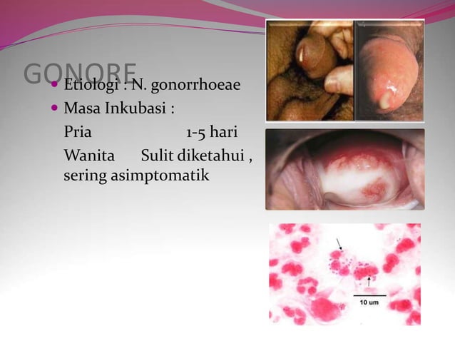 IMS.ppt PPT PPT PPT PPT PPT PPT PPT PPT PPT | PPT