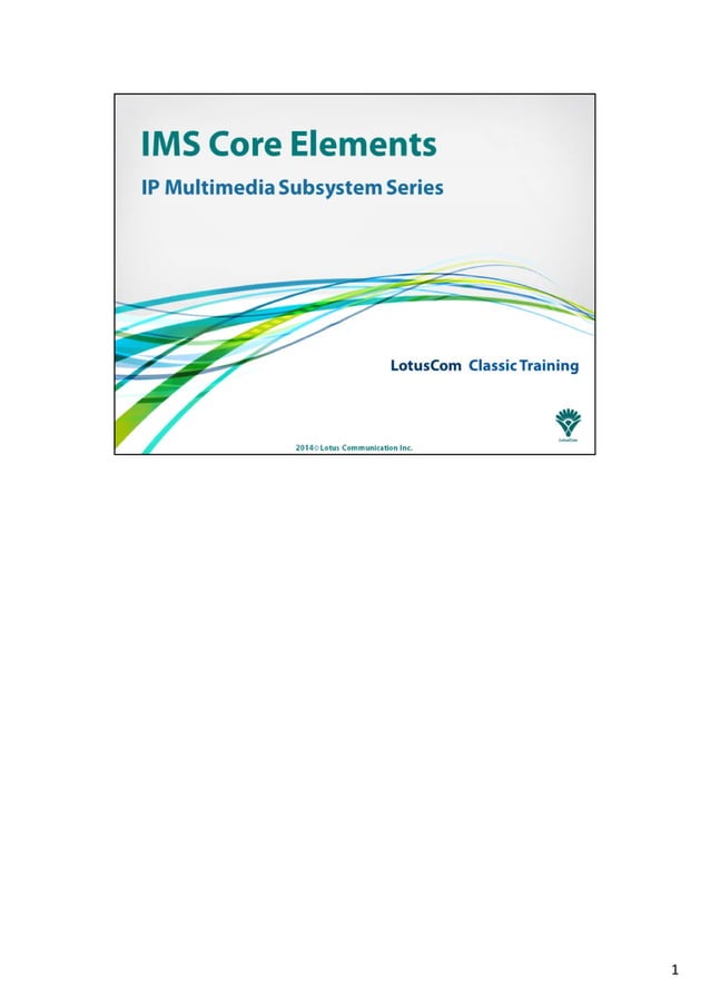 IMS Core Elements | PDF