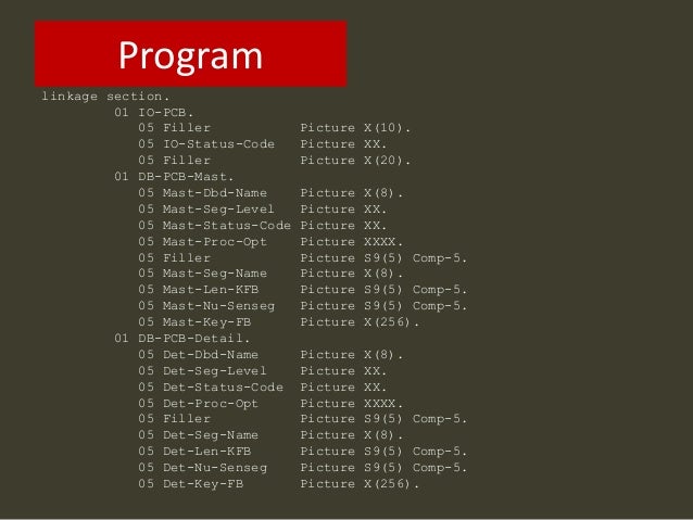 IMSDB-COBOL PROGRAM EXPLANATION