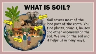 power point presentation for grade 4 science | PPTX