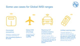 One World One Global Sim | PPTX