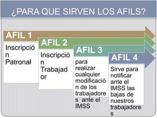 Imss parte 2 | PPTX