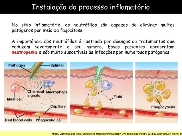 Imunidade inata farmácia