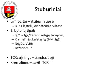 Imuninės sistemos evoliucija | PPTX