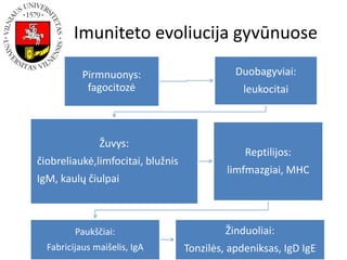 Imuninės sistemos evoliucija | PPTX