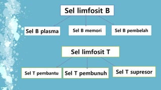 Sistem Pertahanan Tubuh (IMUN) | PPTX