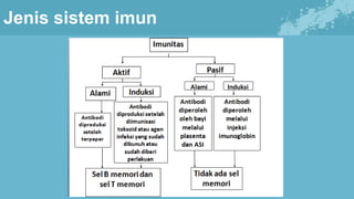 Sistem Pertahanan Tubuh (IMUN) | PPTX