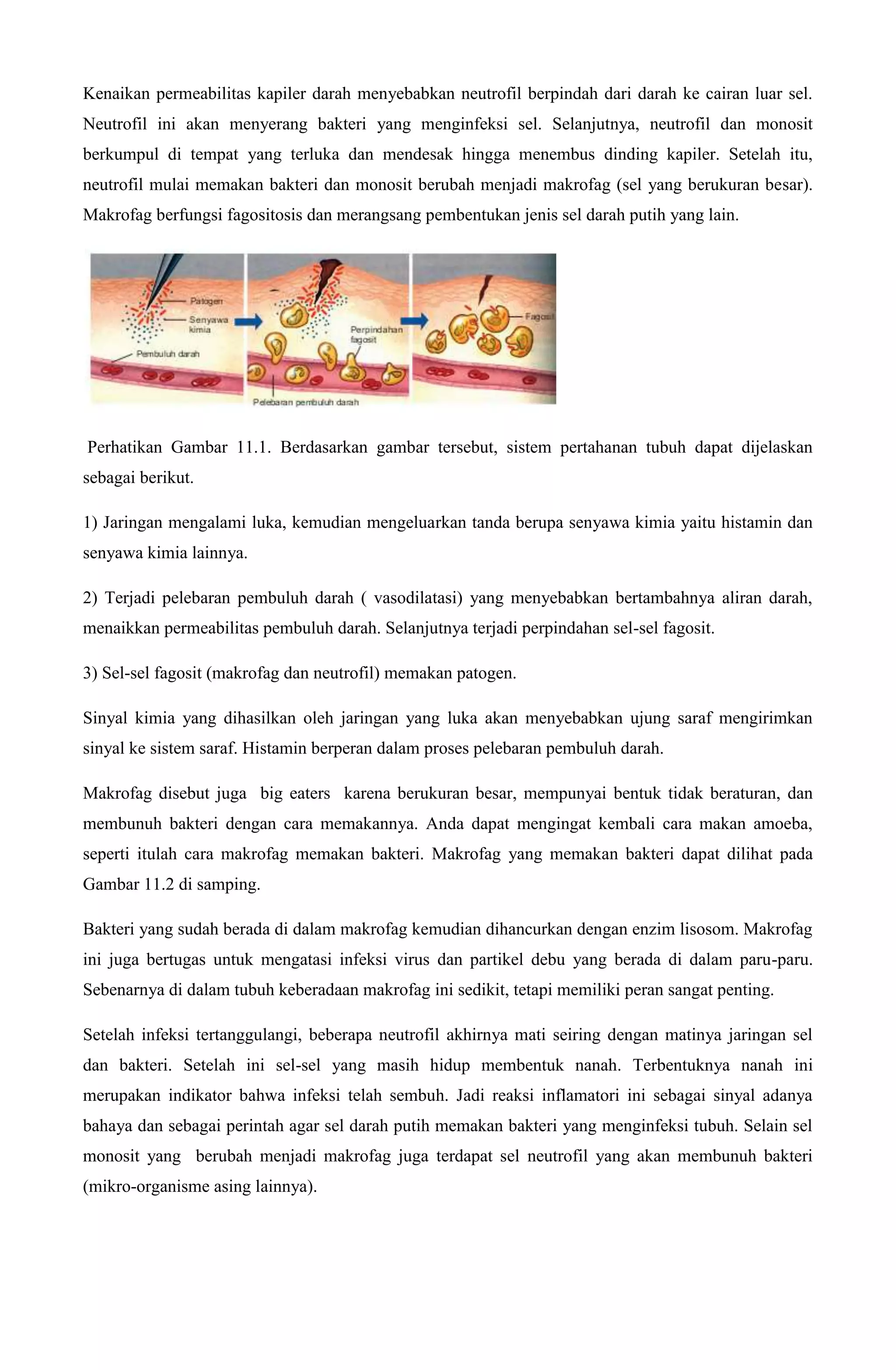 Sistem Pertahanan Tubuh (Materi Biologi) | DOCX