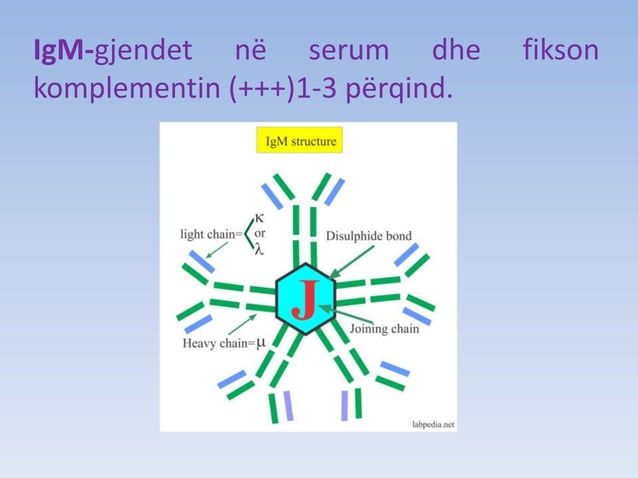 Imuniteti, imunoprofilaksia, mekanizmat mbrojtes | PPT
